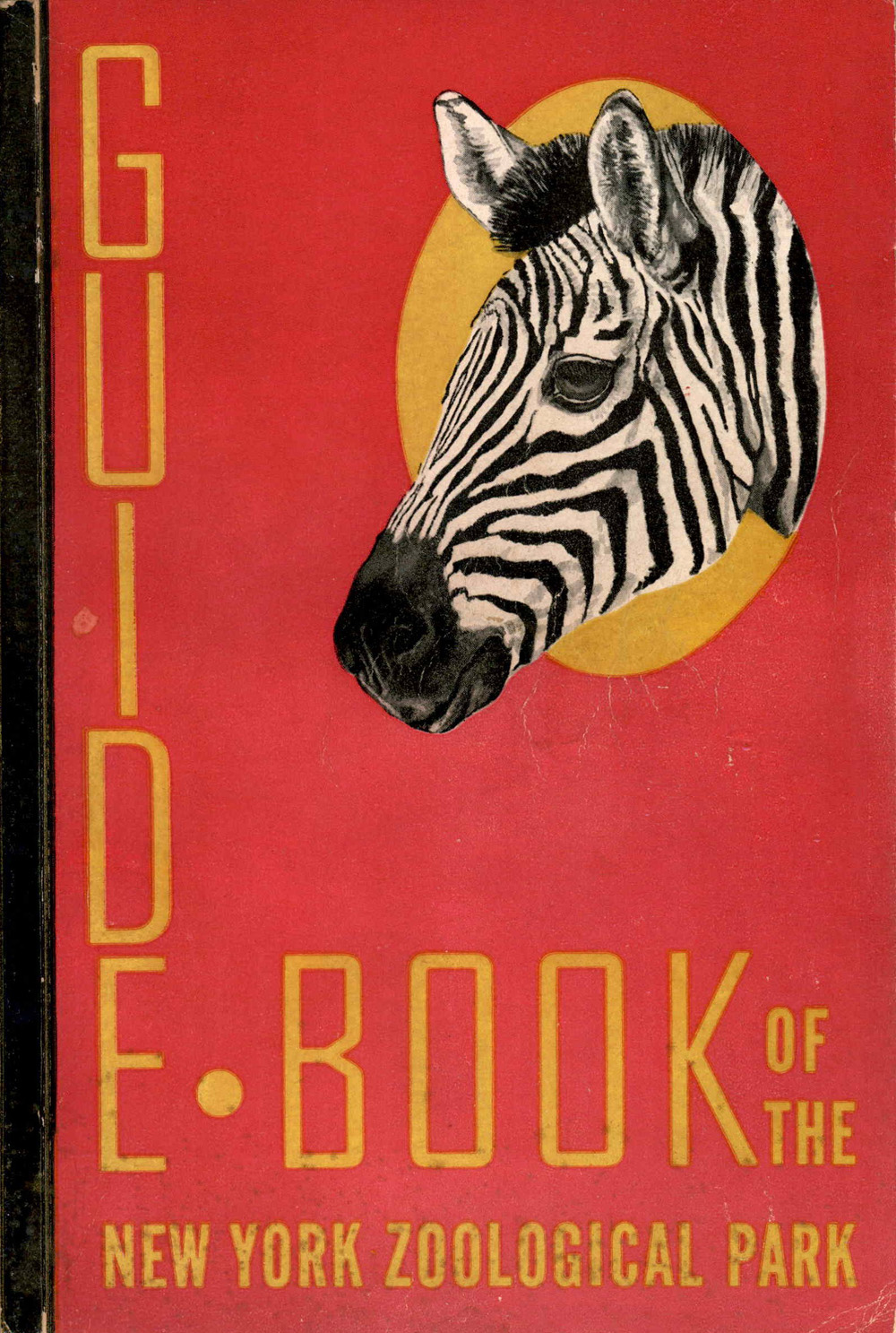 Les Zoos dans le Monde - Bronx Zoo