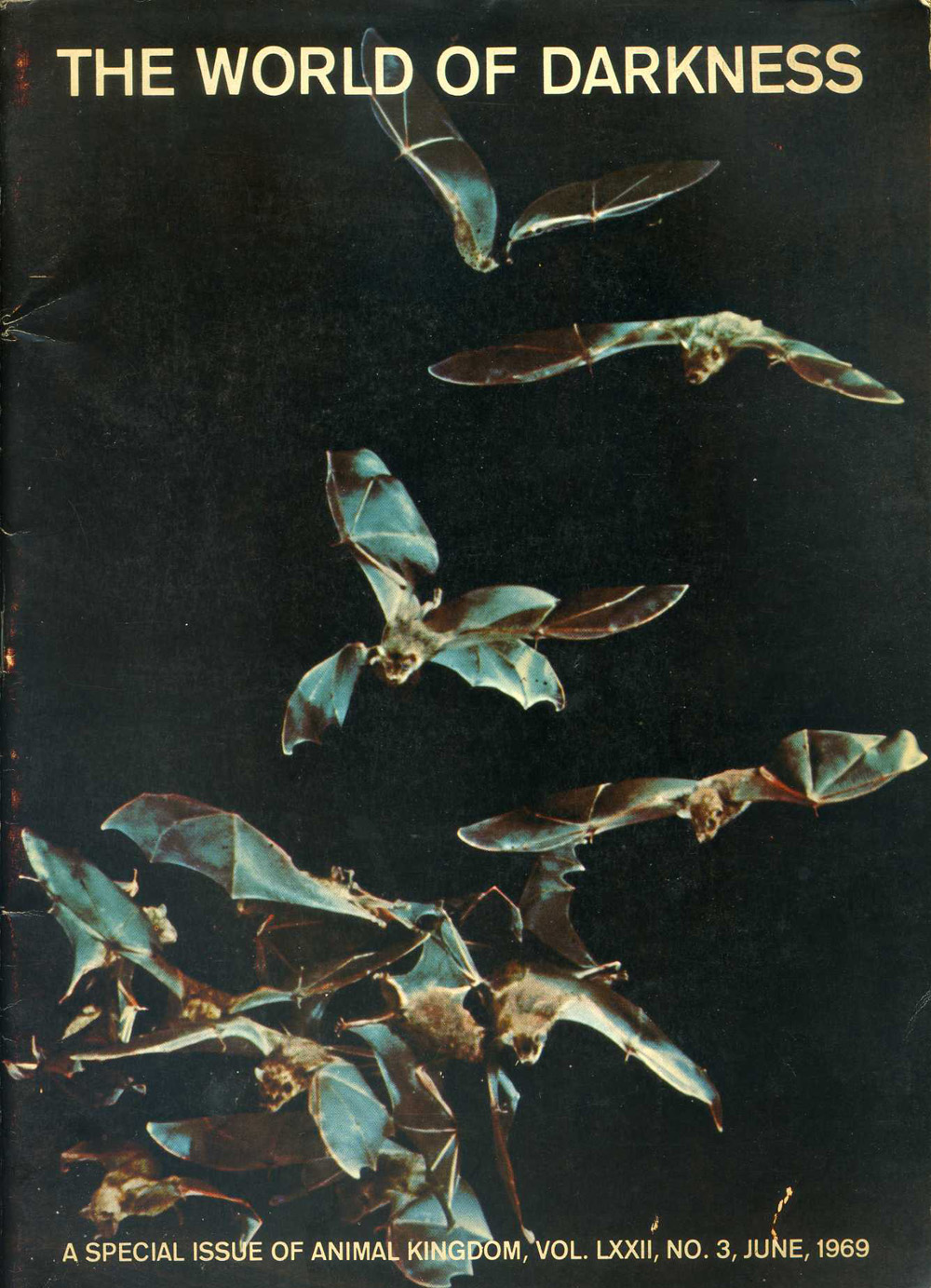 Les Zoos dans le Monde - Bronx Zoo