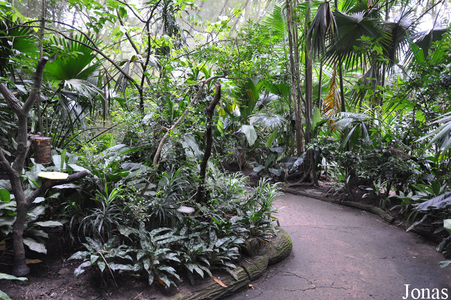 Les Zoos dans le Monde - Singapore Zoo